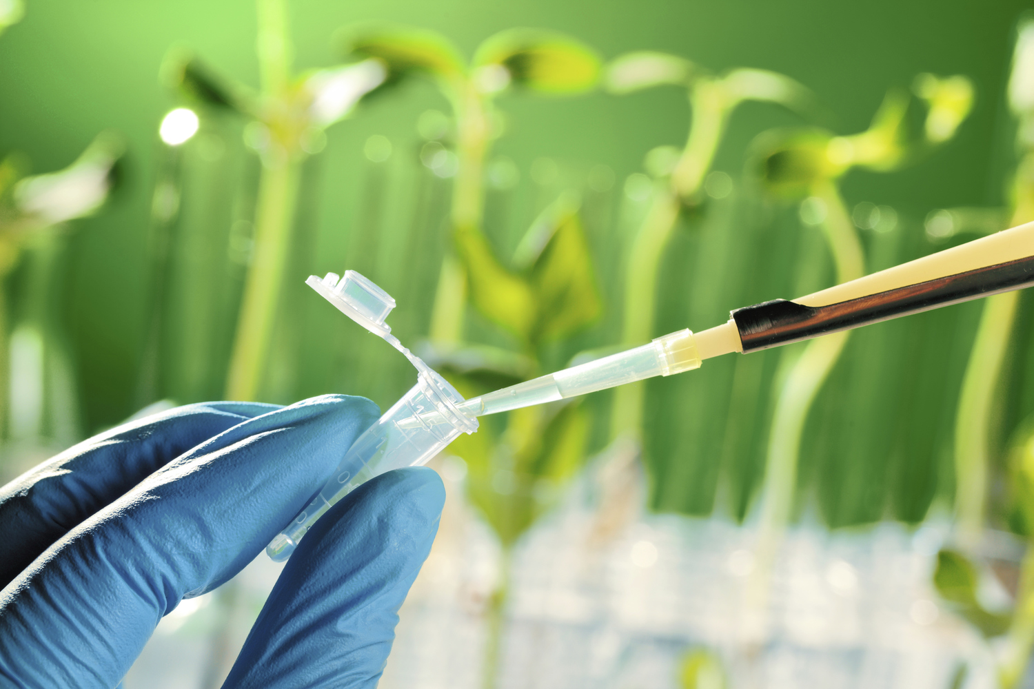 Concept problems – GenoRobotics