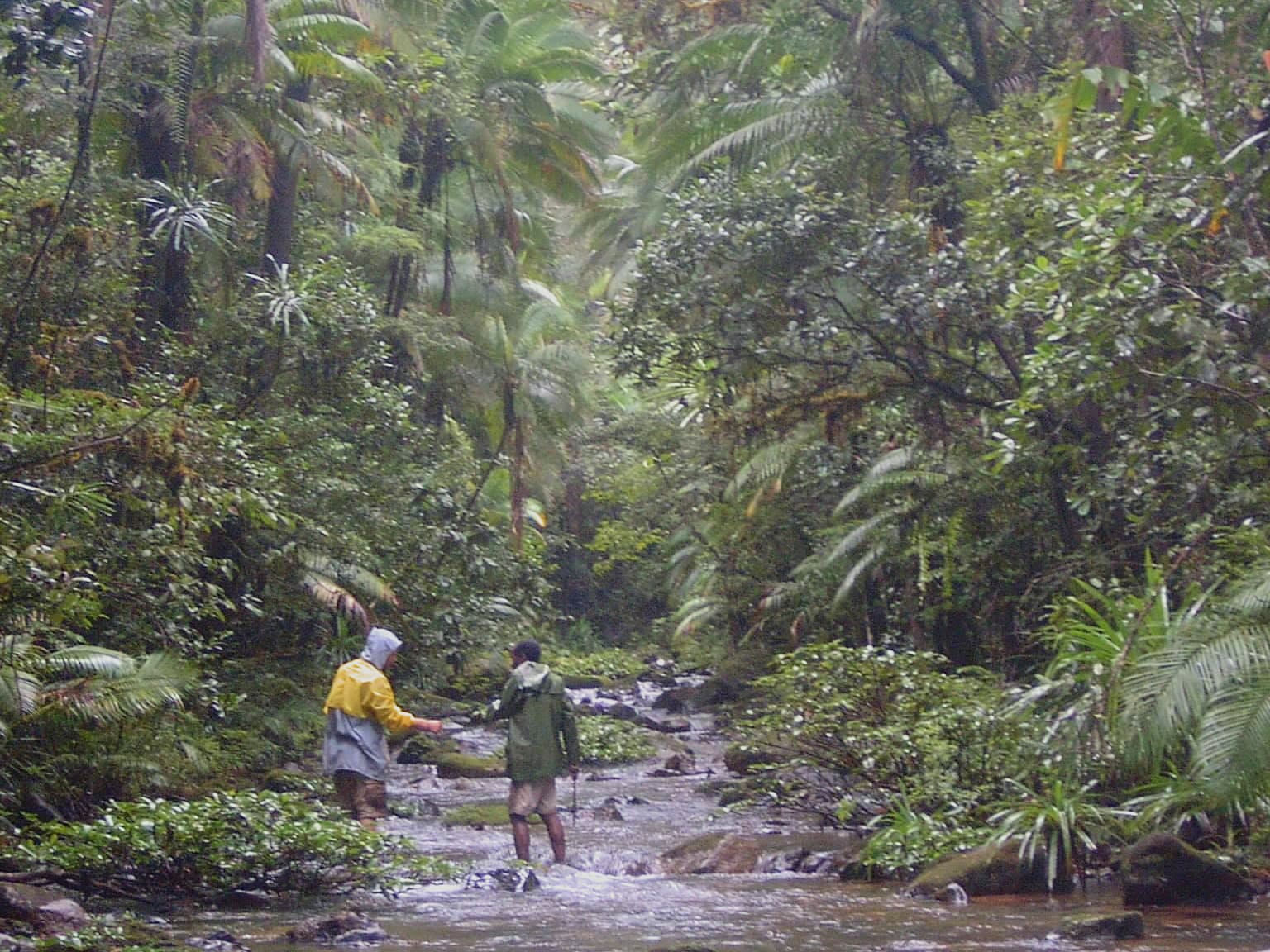 R&D – Coming soon – GenoRobotics