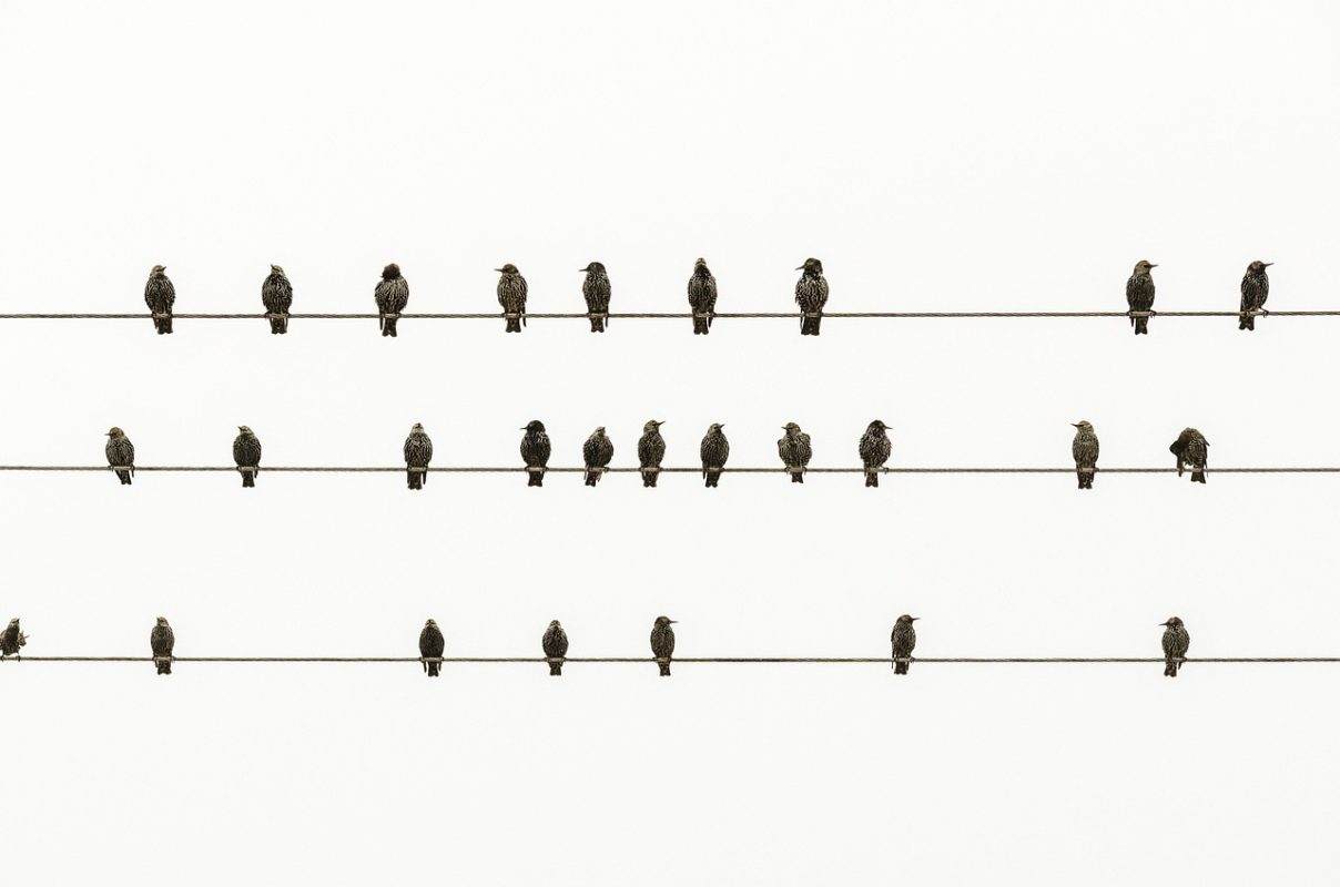 Concept solutions – GenoRobotics