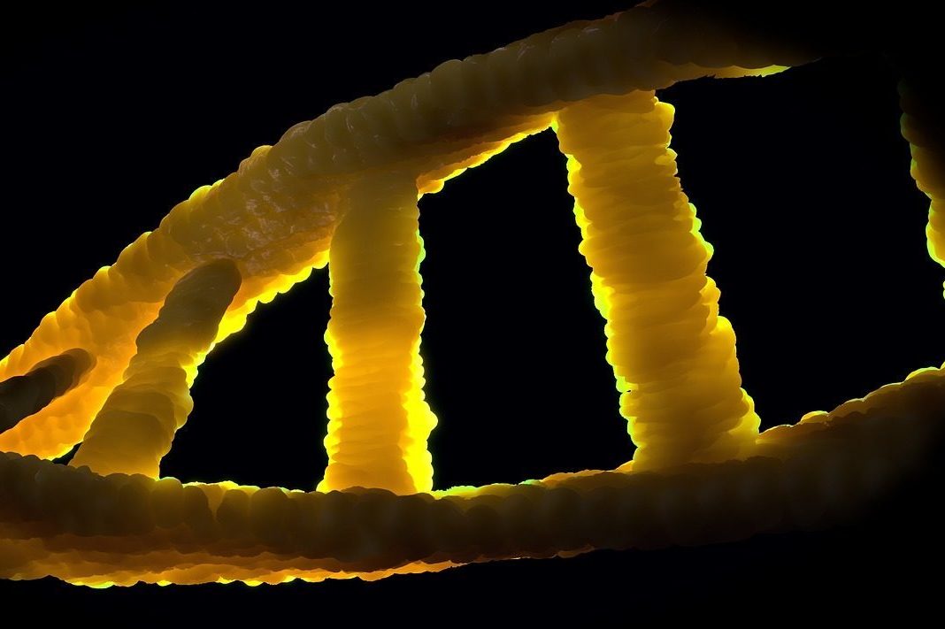 Concept solutions – GenoRobotics