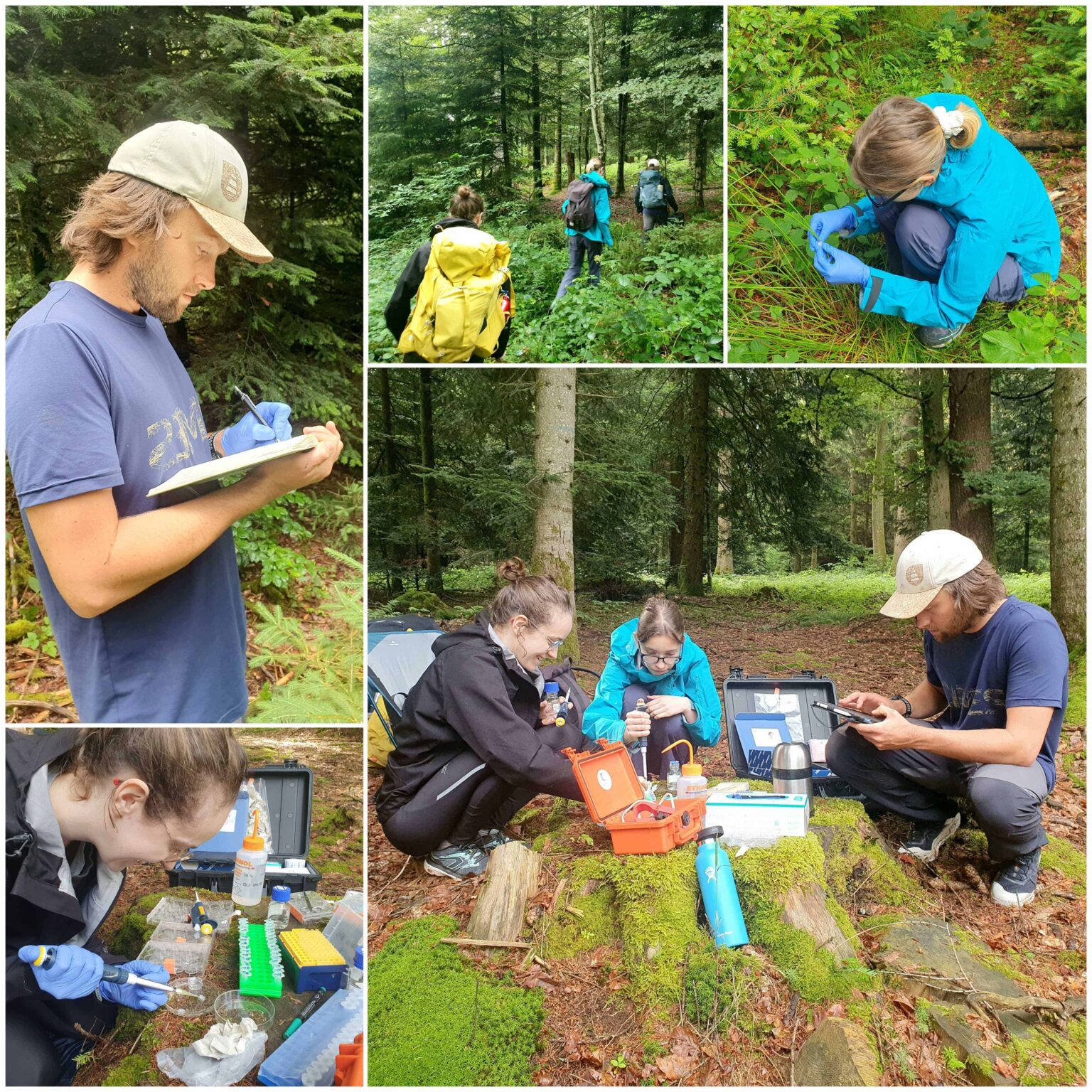 ⭐ Expedition in the Jorat forest – GenoRobotics