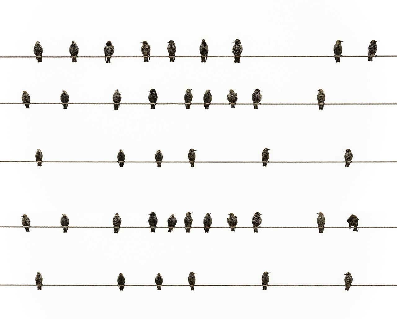 GenoRobotics – field DNA analysis & biodiversity monitoring – GenoRobotics